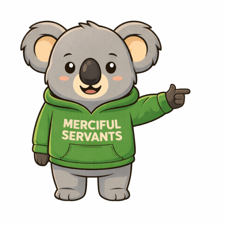 Support - Merciful Servants Brisbane
